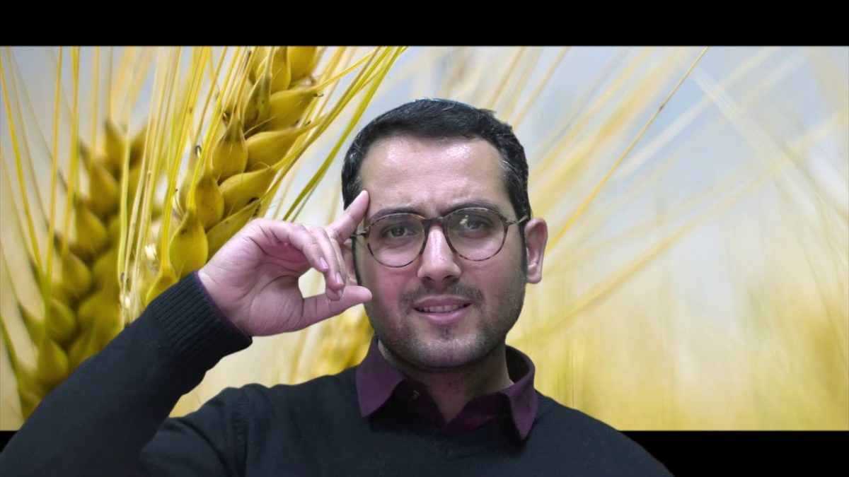 9 – Vayeshev (9ème Parachat) – Israel Torah